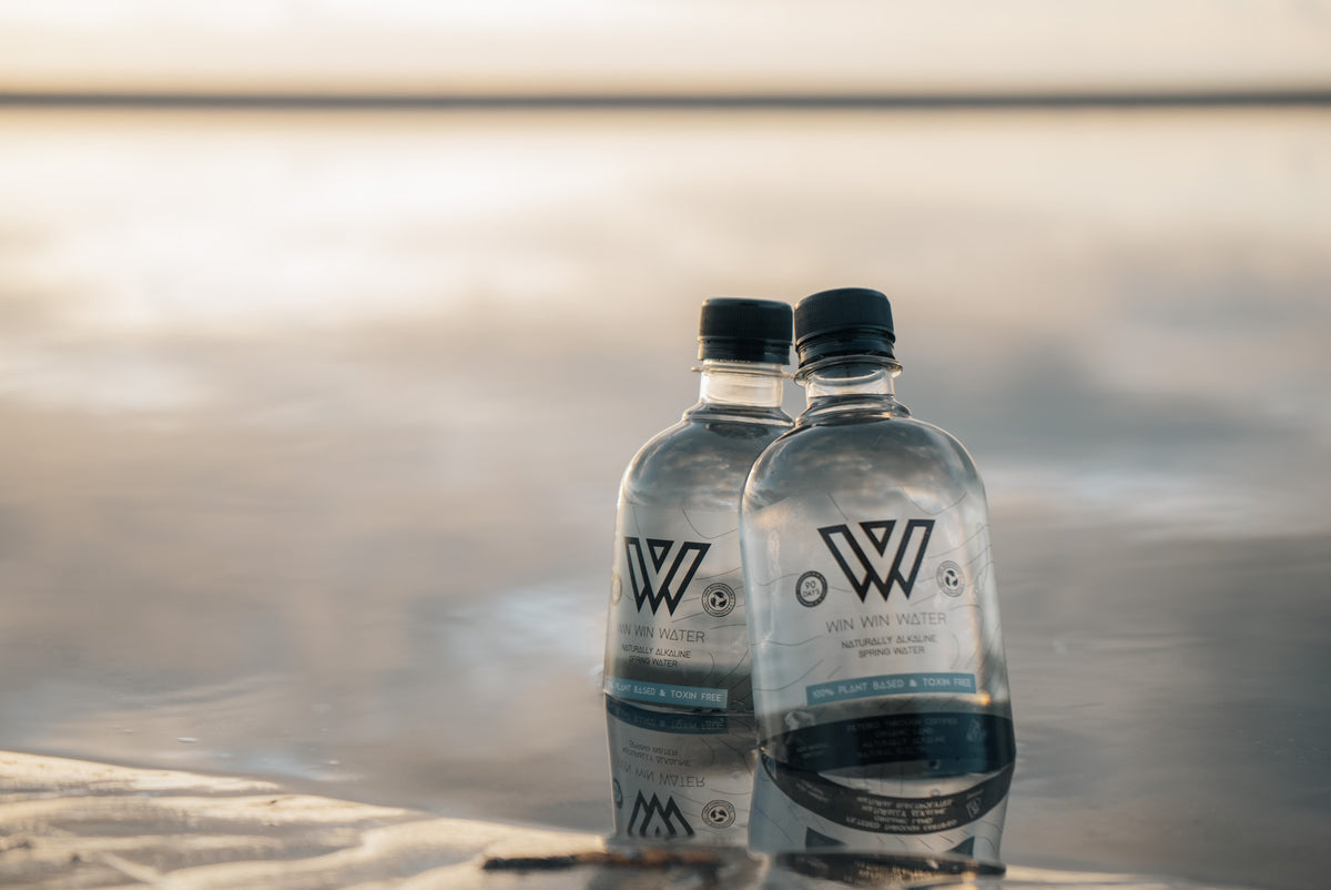 ALKALINE & ELECTROLYTE SPRING WATER – Win Win Water