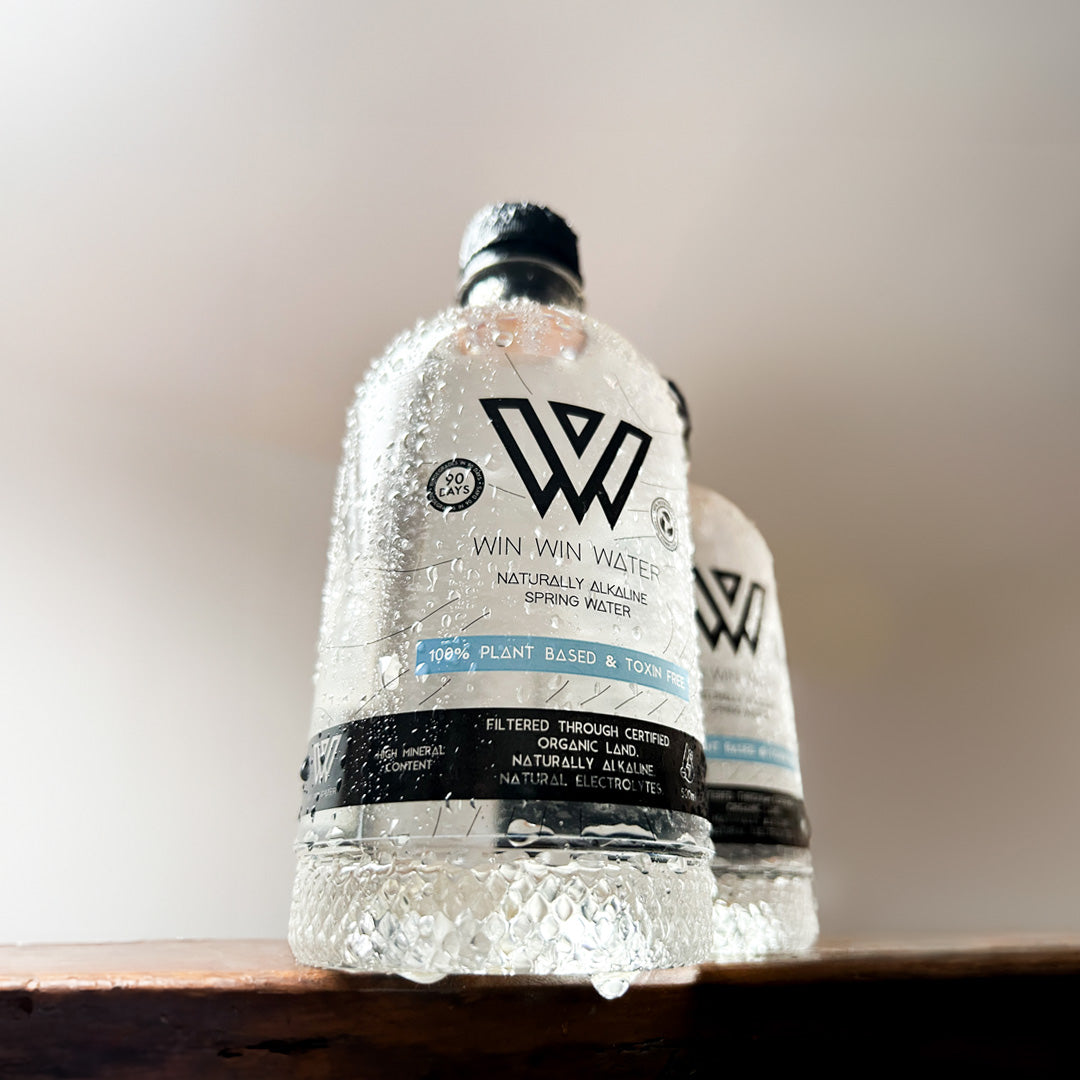 500ml Naturally Alkaline Spring Water – Win Win Water